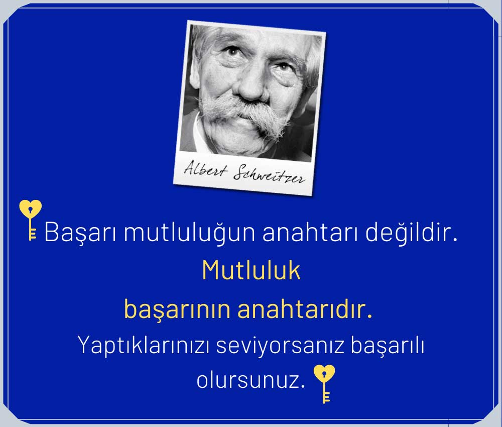 albert schweitzer basari sozleri - Resimci