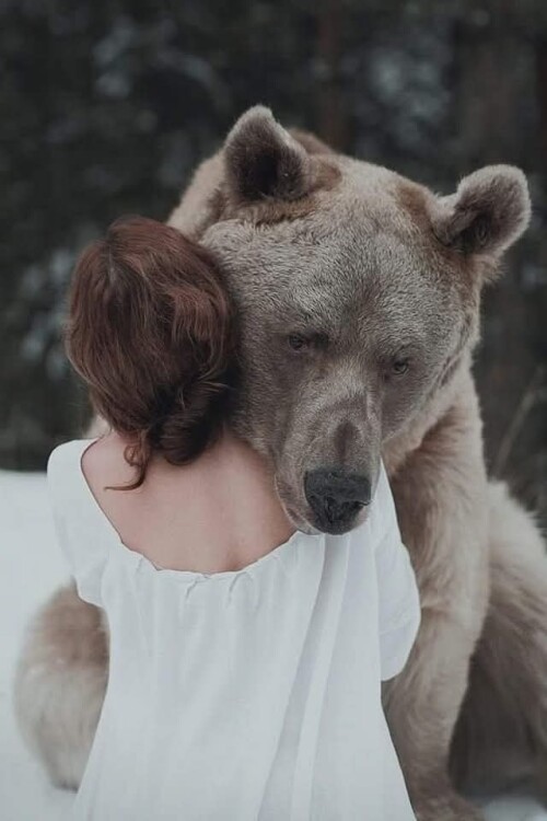 488209275 993318326315880 2817764986130765854 n - Resimci